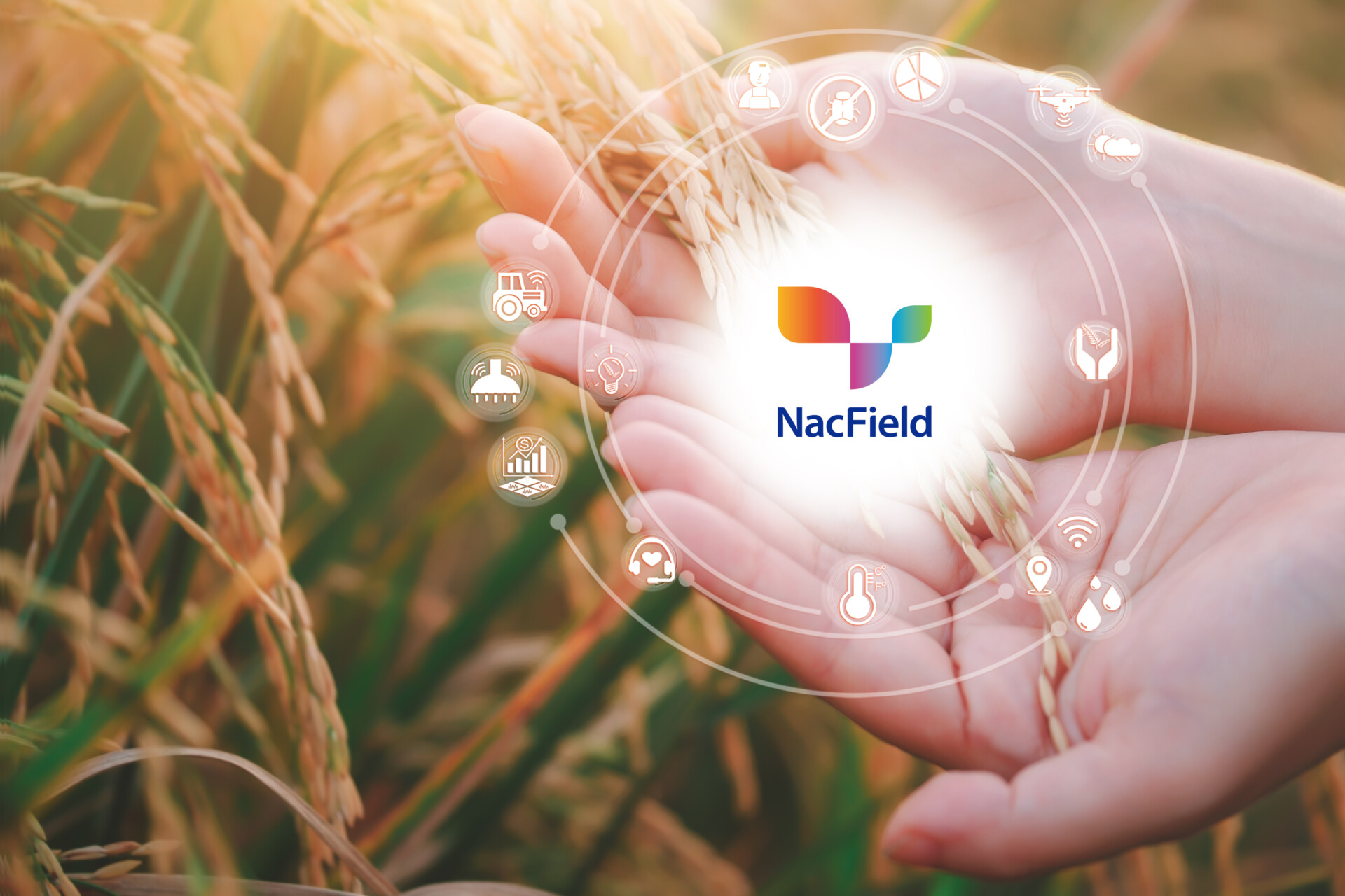 NacField | ONO BRAND DESIGN | ブランディングデザイン